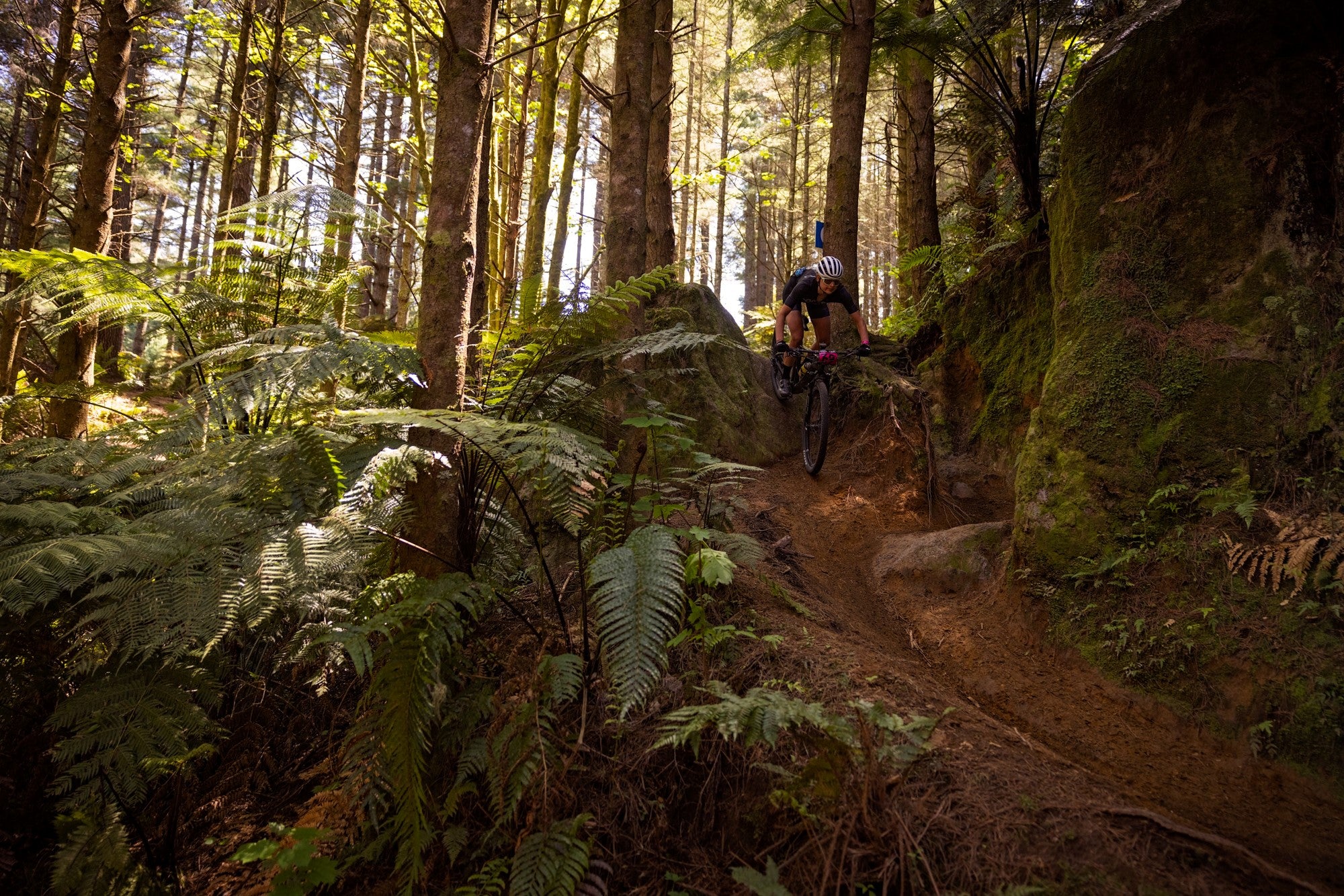 WINNING THE WHAKA100 – GU Energy New Zealand
